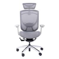 China Cable Control IFIT Ergonomic Chair Adjustable Swivel Chair Lumbar Support Chair for sale