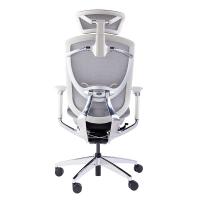 China Cable Control IFIT Ergonomic Chair Adjustable Swivel Chair Lumbar Support Chair for sale