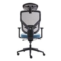 China Vida Lumbar Support Ergonomic Chair Mesh Back Computer Chair Task Chair Swivel Office Chairs for sale