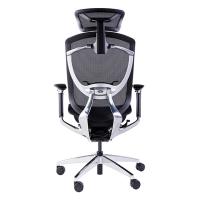 China IFIT Polished Aluminum Mesh Office Chairs Ergo Mesh Manager Chair for sale