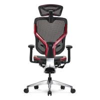 China DVARY Vida Racing Revolving Chair Ergonomic Mesh Chair Office Gaming Chairs for sale