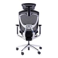 China BIFMA Green Guard Certificate Adjustable Armrest Wintex Mesh Ergonomic Office Chair for sale