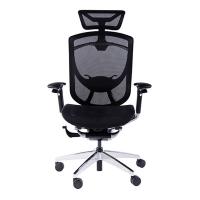 China BIFMA Green Guard Certificate Adjustable Armrest Wintex Mesh Ergonomic Office Chair for sale