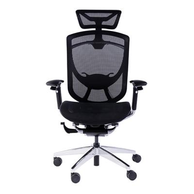 China BIFMA Green Guard Certificate Adjustable Armrest Wintex Mesh Ergonomic Office Chair for sale