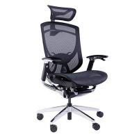 China BIFMA Green Guard Certificate Adjustable Armrest Wintex Mesh Ergonomic Office Chair for sale