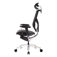China GTCHAIR With Cozy Lumbar Support And Adjustable 4D Armrest Ergonomic Office Chair for sale