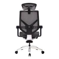 China GTCHAIR With Cozy Lumbar Support And Adjustable 4D Armrest Ergonomic Office Chair for sale