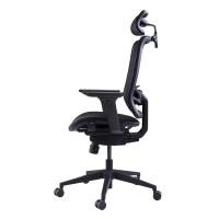 China Wintex Black Mesh High Back Tilt Functional 4D Arm Ergonomic Executive Chair for sale
