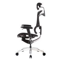 China High Back Arm Control Mechanism Duo Back Lumbar Support Adjustable Office Chair for sale