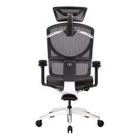 China High Back Arm Control Mechanism Duo Back Lumbar Support Adjustable Office Chair for sale