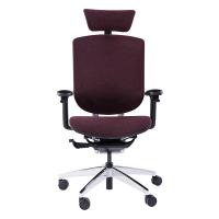 China WFH Chair With 4D Armrests Adjustable Lumbar Support Headrest Swivel Executive Swivel Office Chair for sale