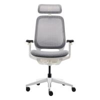 China Computer Desk Chair With Mesh Seat And High Back Multifunction For Relaxation​ Ergo Office Chair for sale