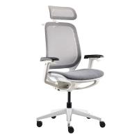 China Computer Desk Chair With Mesh Seat And High Back Multifunction For Relaxation​ Ergo Office Chair for sale