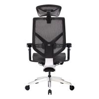 China 5D Armrest GTCHAIR With Cozy Lumbar Support And Adjustable Back Ergonomic Office Chair for sale