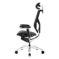 China 5D Armrest GTCHAIR With Cozy Lumbar Support And Adjustable Back Ergonomic Office Chair for sale
