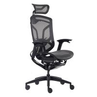 China Bright Black Powder Coated Dvary Office Chair Breathable Mesh Ergonomic Manager Seating for sale
