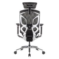 China Greenguard Certificated Environmental Office Chair Backrest Chromed Butterfly Chairs for sale