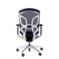 China Dvary Butterfly Mesh Breathable Computer Chair Comfortable Ergonomic Desk Chairs for sale