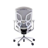 China Five Start Base Grey Plastic Chair Tilting Tension Adjustable Mesh Office Chairs for sale