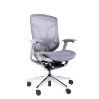 China Five Start Base Grey Plastic Chair Tilting Tension Adjustable Mesh Office Chairs for sale