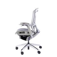 China Five Start Base Grey Plastic Chair Tilting Tension Adjustable Mesh Office Chairs for sale