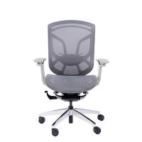 China Five Start Base Grey Plastic Chair Tilting Tension Adjustable Mesh Office Chairs for sale