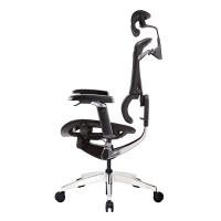 China GT ISEE Ergonomic Mesh Chair Home Office Use Swivel Office Chairs for sale