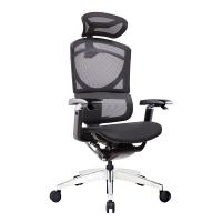 China GT ISEE Ergonomic Mesh Chair Home Office Use Swivel Office Chairs for sale