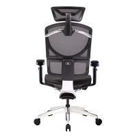 China GT ISEE Ergonomic Mesh Chair Home Office Use Swivel Office Chairs for sale