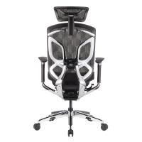 China Dvary Mesh Seat Chair Gaming Style Ergonomic Chairs Adjustable Ergonomic Office Chair for sale