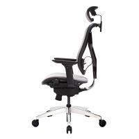 China Vida Lumbar Support Chair With Headrest 24 Hours High Back Computer Task Chairs for sale