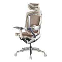 China GT Marrit Swivel Ergonomic Chairs Full Mesh Executive Office Lumbar Support Chair for sale