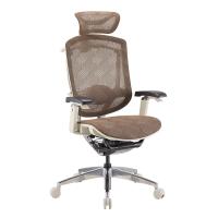 China GT Marrit Swivel Ergonomic Chairs Full Mesh Executive Office Lumbar Support Chair for sale