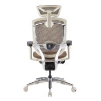 China GT Marrit Swivel Ergonomic Chairs Full Mesh Executive Office Lumbar Support Chair for sale