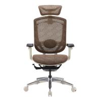 China GT Marrit Swivel Ergonomic Chairs Full Mesh Executive Office Lumbar Support Chair for sale