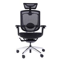 China Marrit 5D Arms Ergonomic Chairs Home Office Mesh Chair Swivel Office Chairs for sale