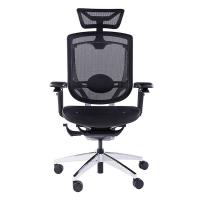 China Breathable Mesh Swivel Ergo Office Chairs Ergonomic Revolving Chair for sale
