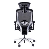 China Breathable Mesh Swivel Ergo Office Chairs Ergonomic Revolving Chair for sale