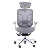 China Dvary Chromed Butterfly Ergonomic Mesh Office Chair Sync Sliding Swivel Seating Chair for sale