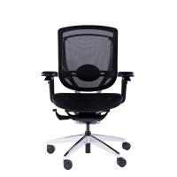 China Headrest Optional 5D Wire Control Armrests Computer Desk Mesh Office Chairs for sale