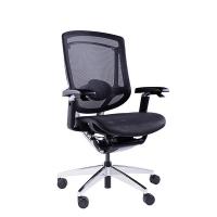 China Headrest Optional 5D Wire Control Armrests Computer Desk Mesh Office Chairs for sale