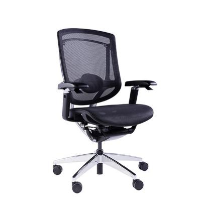 China Headrest Optional 5D Wire Control Armrests Computer Desk Mesh Office Chairs for sale
