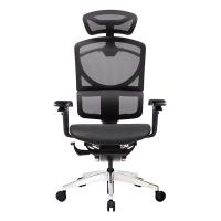 China GTCHAIR ISEE Ergonomic Chair High Back Mesh Swivel Office Chairs for sale