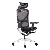 China GTCHAIR ISEE Ergonomic Chair High Back Mesh Swivel Office Chairs for sale