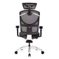 China GTCHAIR ISEE Ergonomic Chair High Back Mesh Swivel Office Chairs for sale