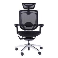 China Gtchair Marrit Computer Desk Chair Adjustable High Back Ergonomic Office Chair for sale