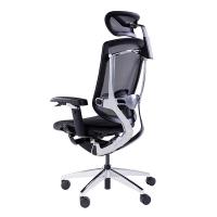 China Gtchair Marrit Computer Desk Chair Adjustable High Back Ergonomic Office Chair for sale