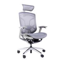 China Comfortable Computer Home Office Chair Light Grey Mesh Height Adjustable Seats Ergonomic Office Chairs for sale