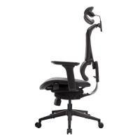 China 3D Headrest Leisure Computer Chair Double Back Support Swivel Ergonomic Black Mesh Office Chairs for sale