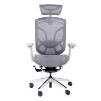China High Back Paddle Shift Wire Control Butterfly Back Design Ergonomic Office Chair for sale